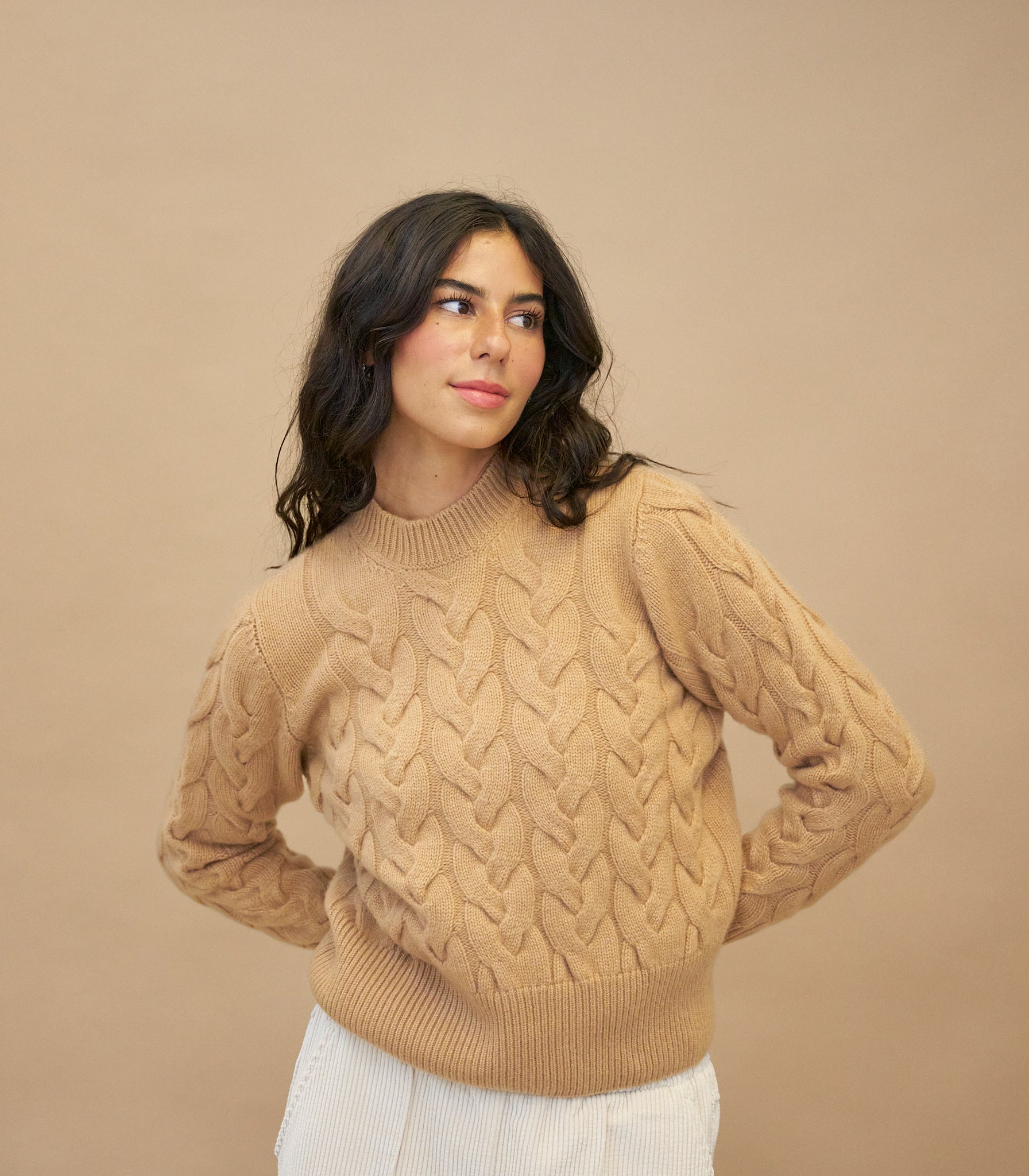 The Celia Light Tan Cableknit Sweater – CLORINDA ANTINORI